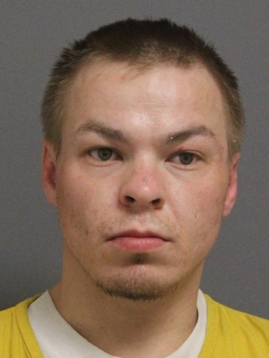 Man sentenced for animal cruelty charge