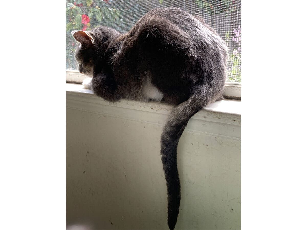 Rain Or Shine, The View From The Window Is Always Appealing: Photo