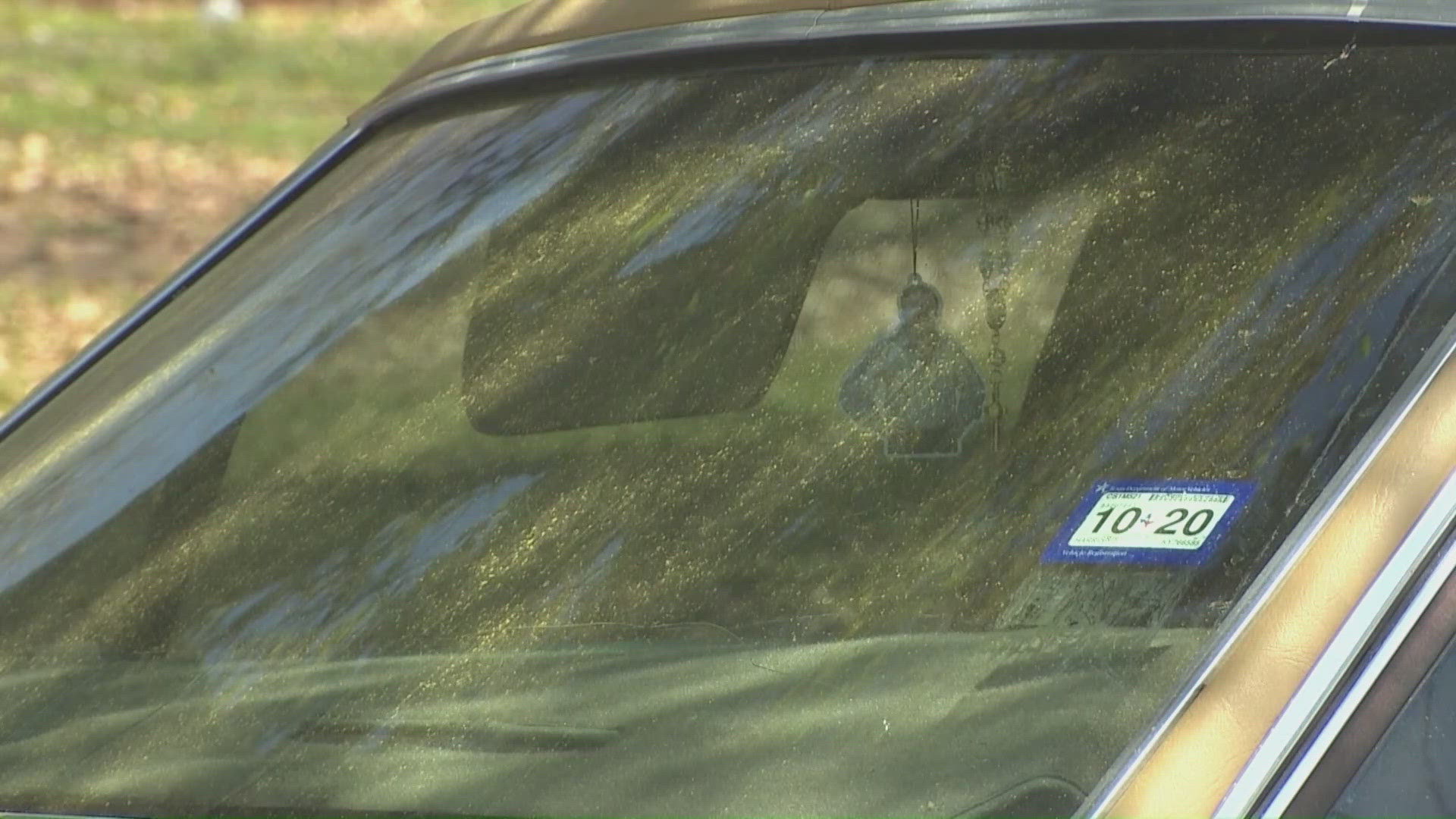 Tips to survive pollen season as Alabama enters yearly peak