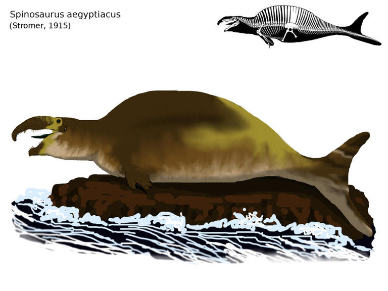 Scientists Changed The Spinosaurus, And People Are Mad: The ...