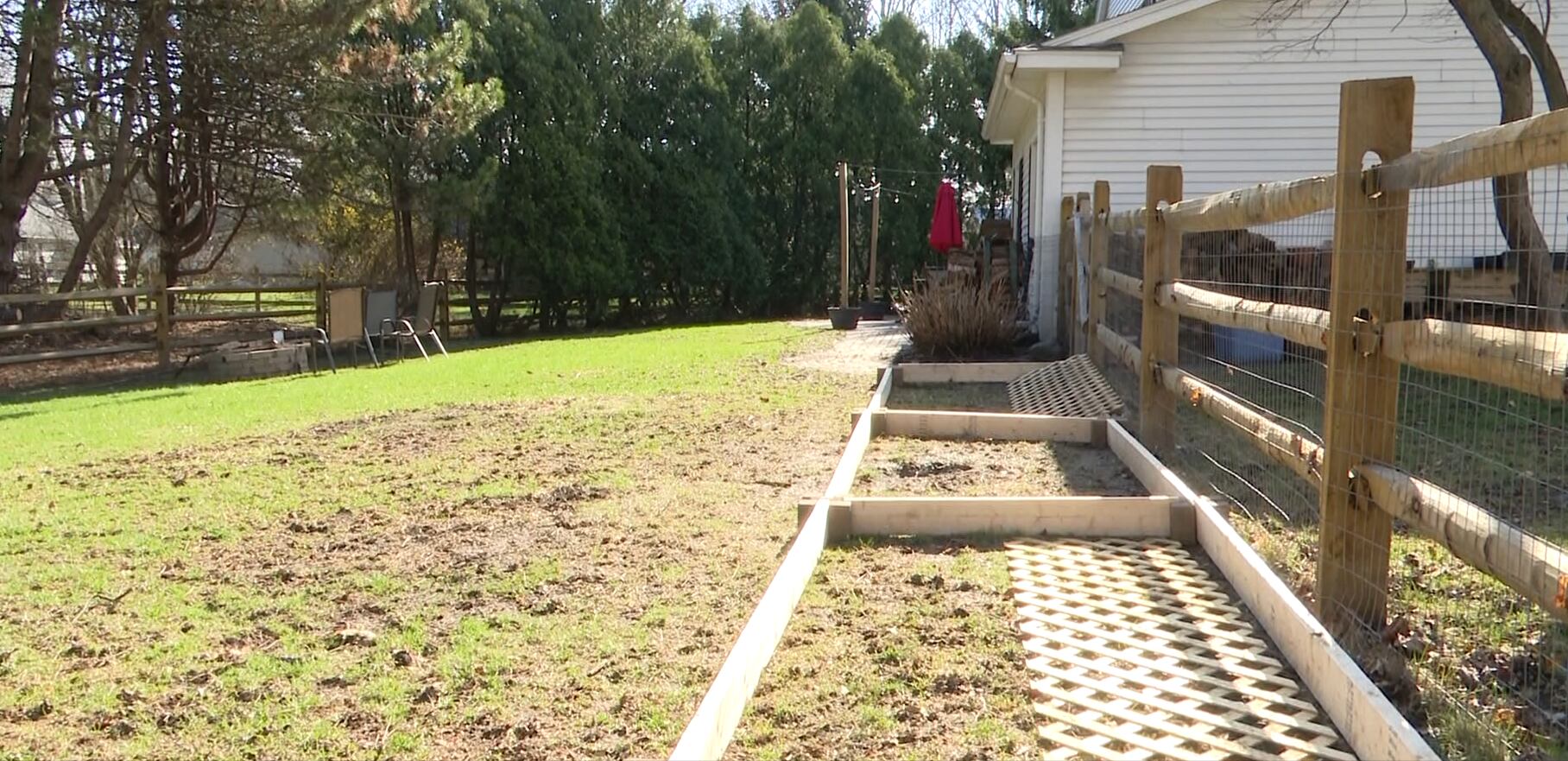 Residents in Maumee, Swanton pushing for backyard chickens