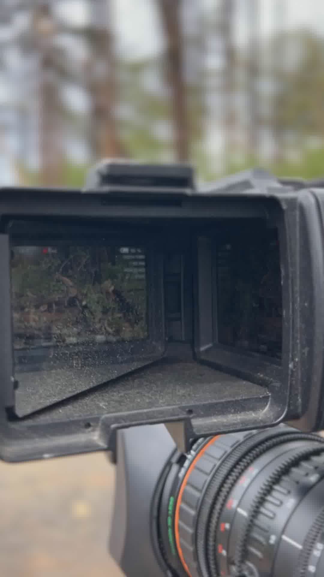 Storm Damage Clean Up