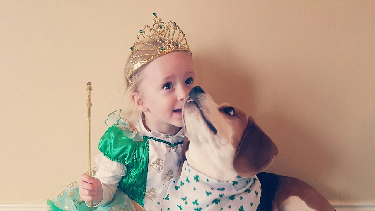 Why every child needs a beagle for love and joy
