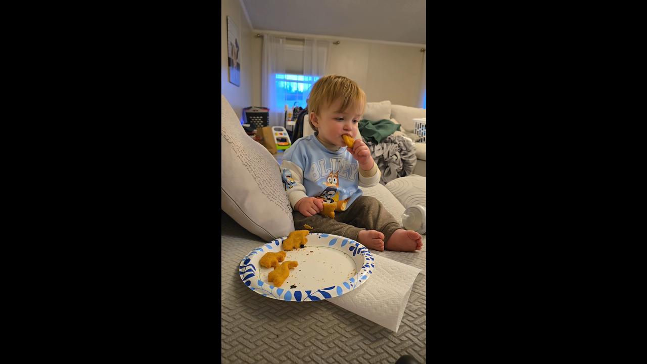 When You're Tired, but You Have Dino Nuggets