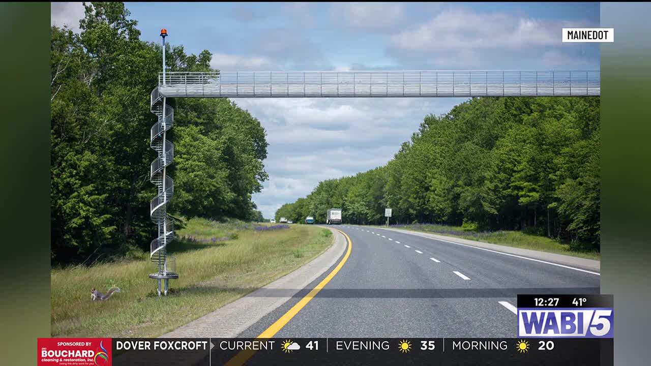 Maine DOT announces ‘Squirrel Skywalks’ as April Fools’ Joke