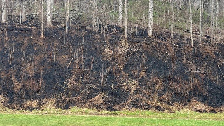 Rattlesnake Branch fire holds at 1,865 acres, 24% containment