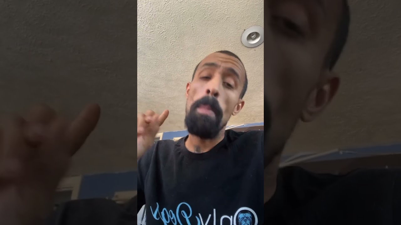 Meet the Ultimate Protection Dog You’ve Never Seen