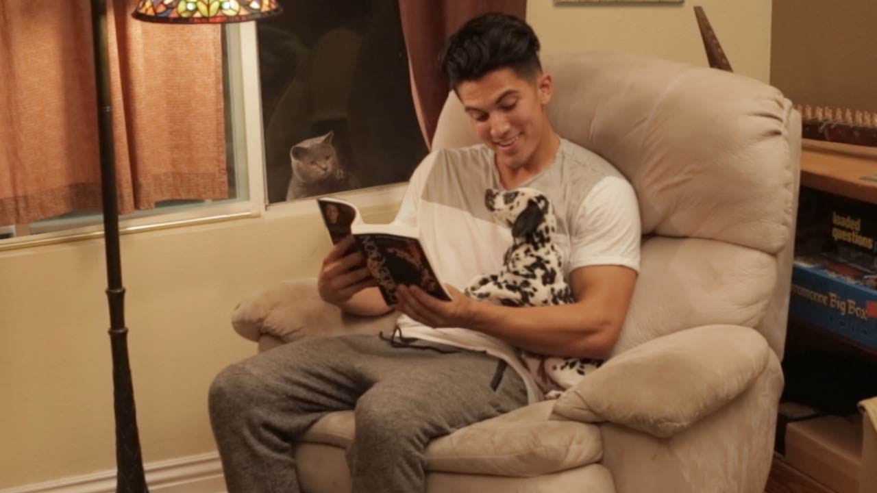 Jealous Cat Reacts Hilariously to Owner Meeting a Dog