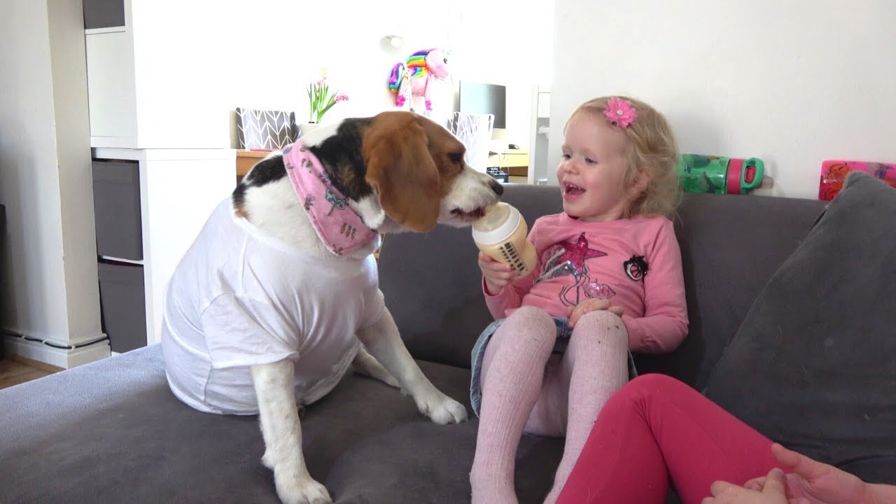 Feeding My Beagle Like a Baby—Too Cute