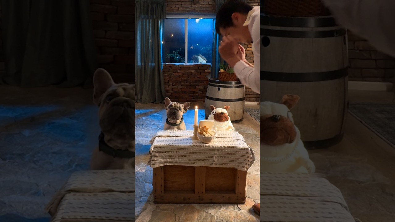 Dog appears to be chronically single in funny video