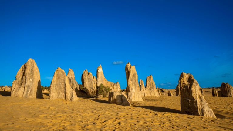 From the Outback to the Opera House: Australia’s Diverse Wonders