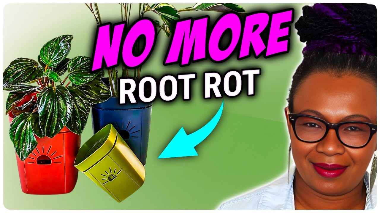 Sick of Plant Root Rot Discover the Naked Rooted Planter Solution Now!