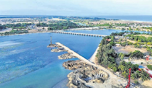 Halt road widening project across Odiyur lagoon: NGT