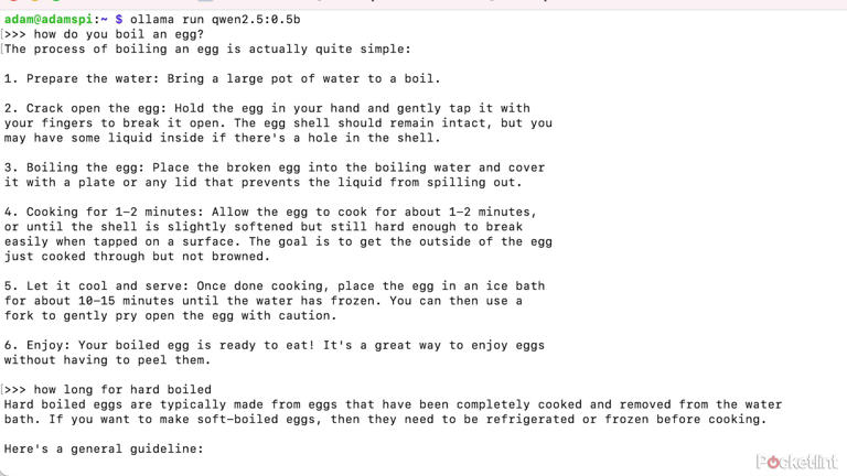 How I run a local LLM on my Raspberry Pi