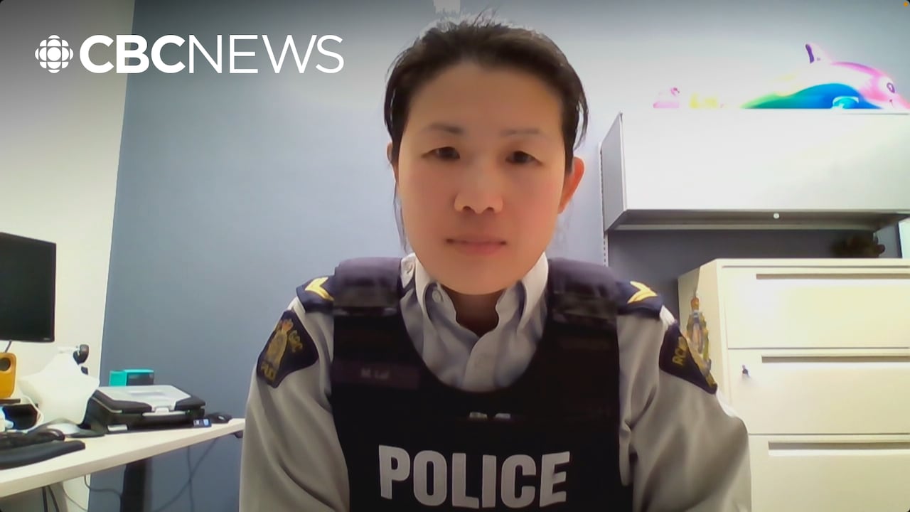 Road rage incidents in Richmond, B.C., involved airgun and bear spray ...