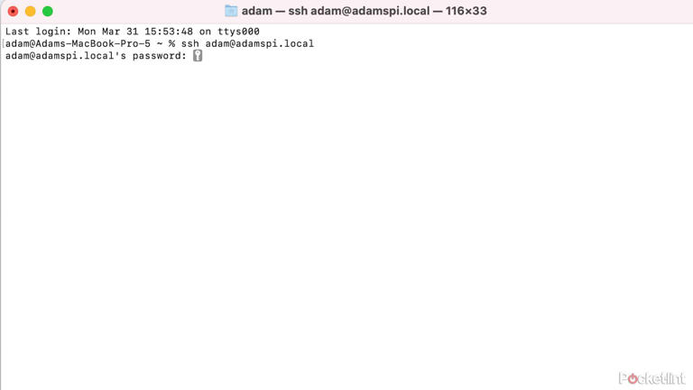 How I run a local LLM on my Raspberry Pi