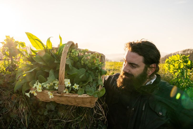 Cornwall Dad forages his food and even feeds it to his one-year-old ...