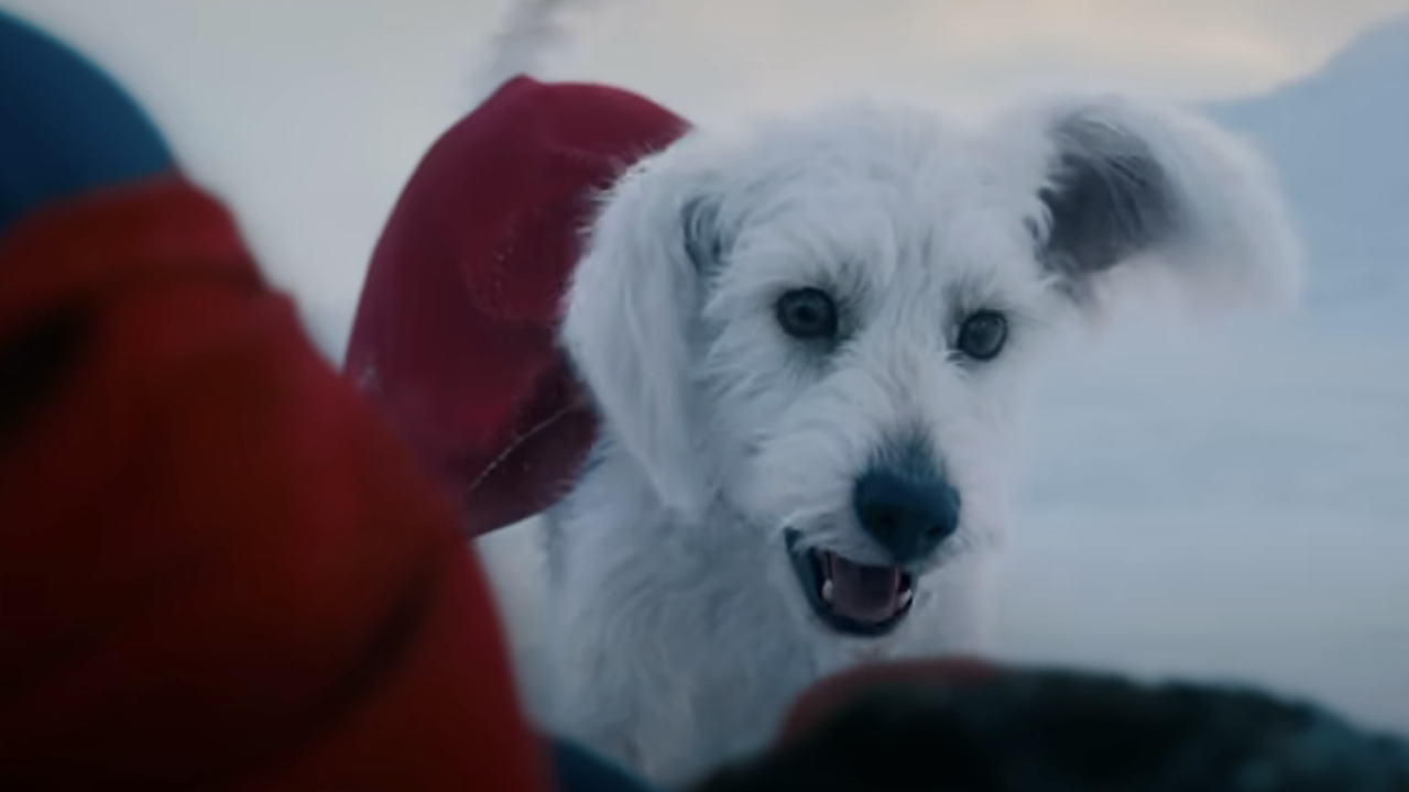 Superman’s David Corenswet Talks About Krypto Being ‘The Worst Dog In ...