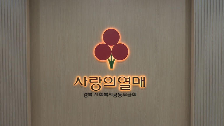 Rabies confirmed in Cape fur seals: What beachgoers need to know