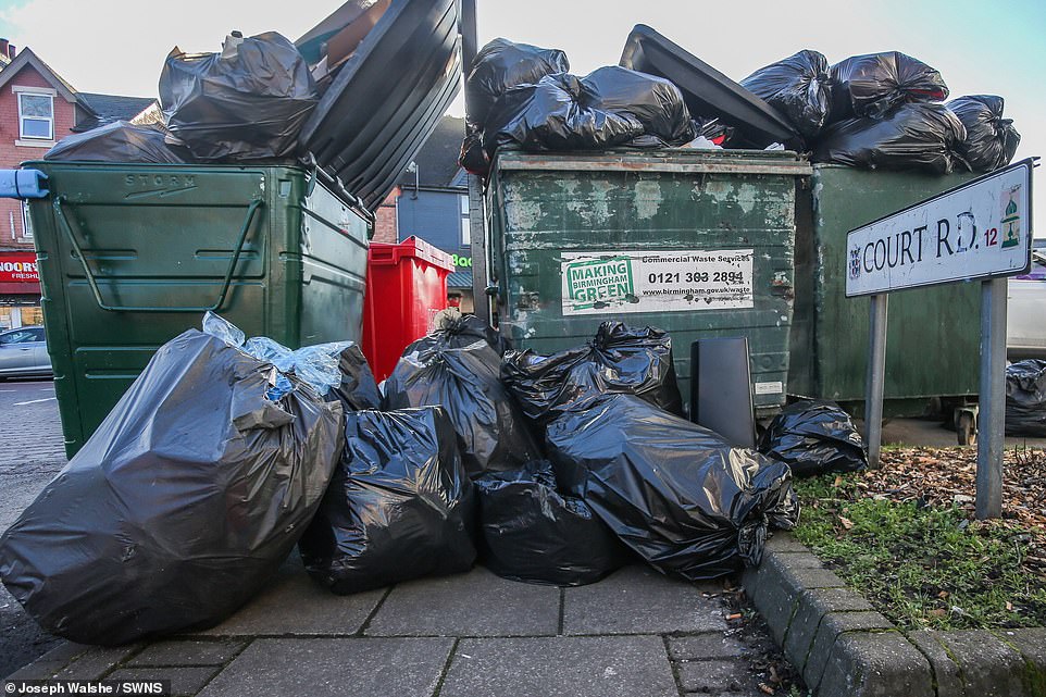 UK city overrun by giant rats amid escalating bin strike crisis