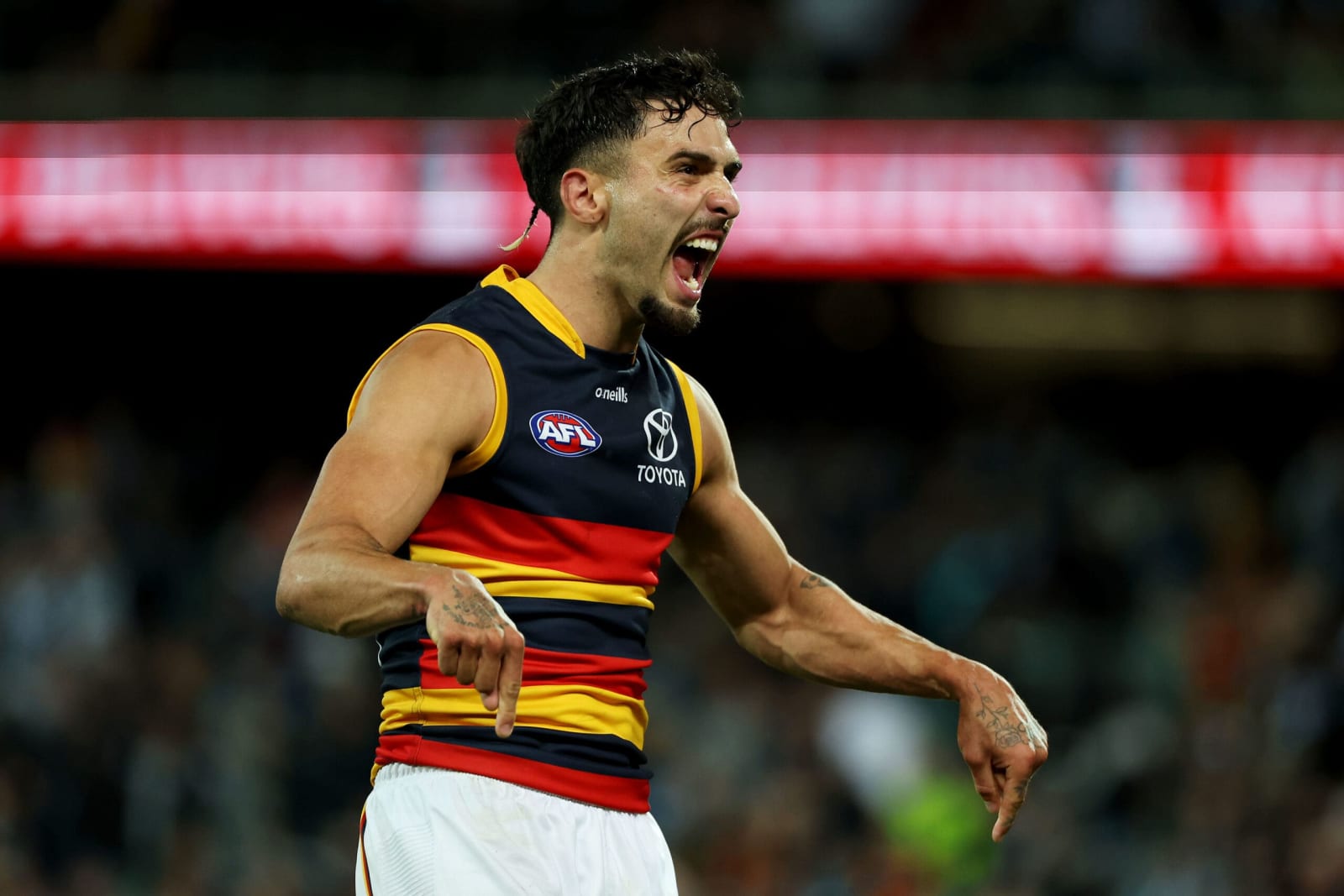 Adelaide star’s role amid Josh Rachele absence