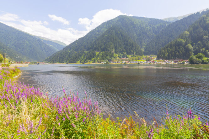 Things That Are Rapidly Disappearing From Britain That We Still Need