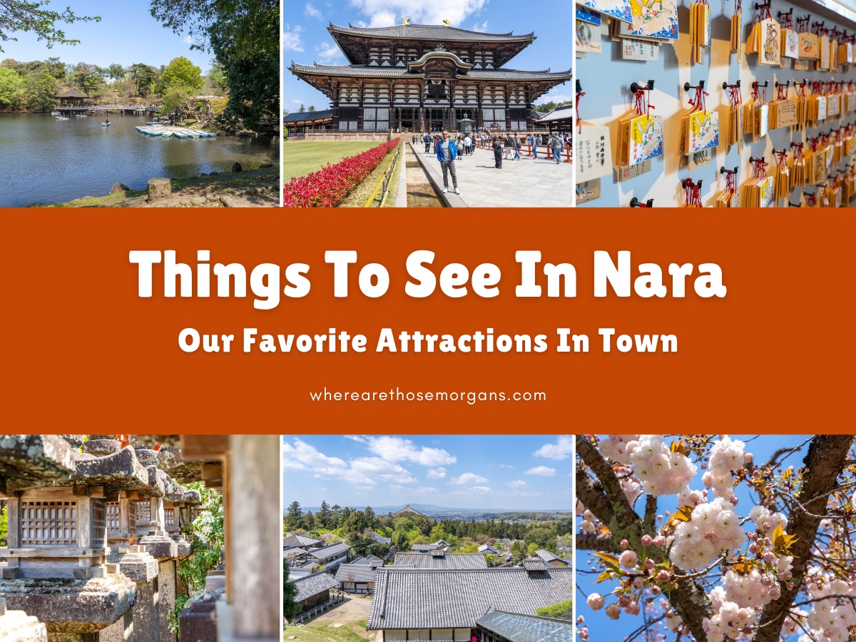 The Experiences You Can't Miss On A First Trip To Nara, Japan