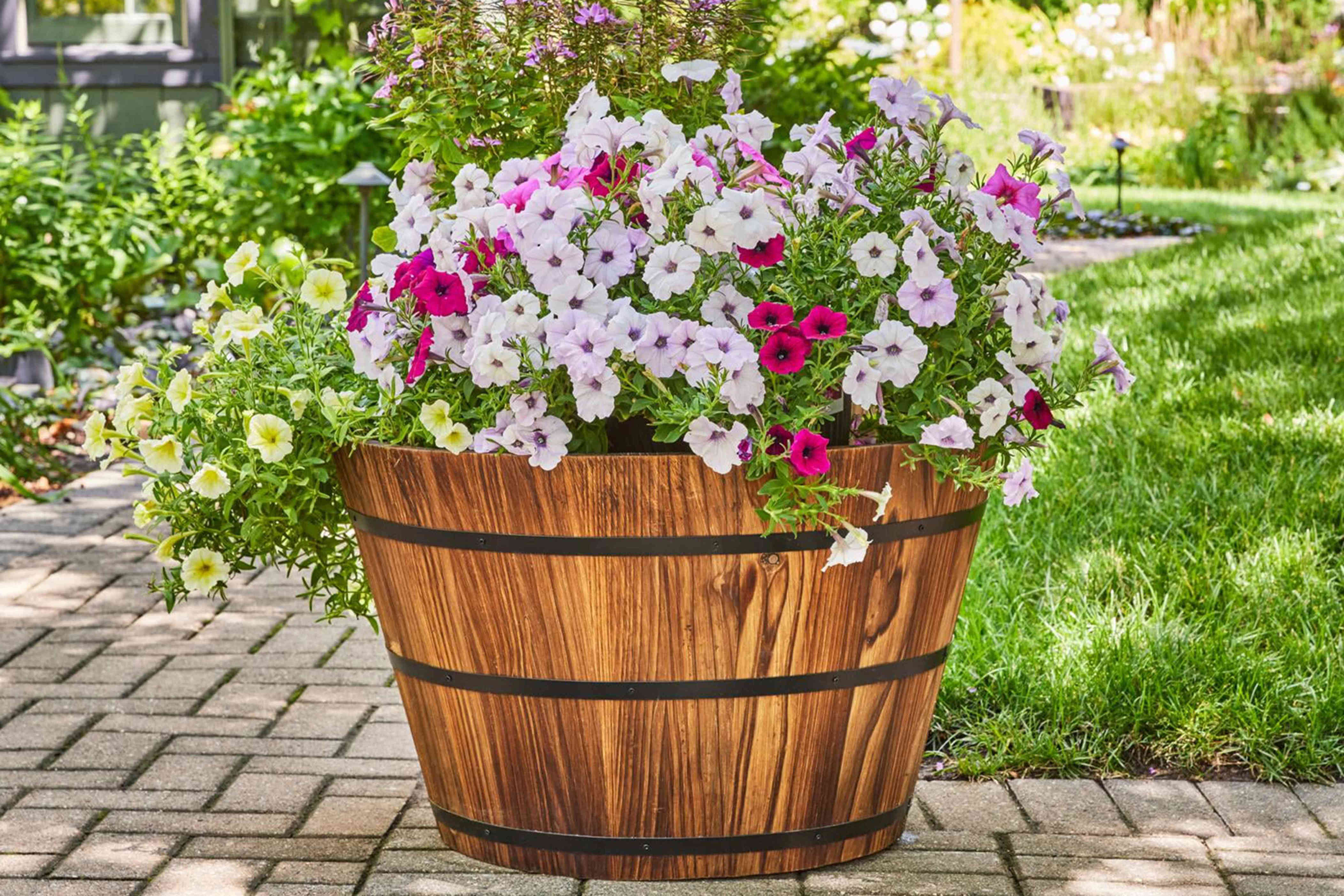 Our Viral Planters Are Back in Stock in Fun Colors for Gardening Season ...