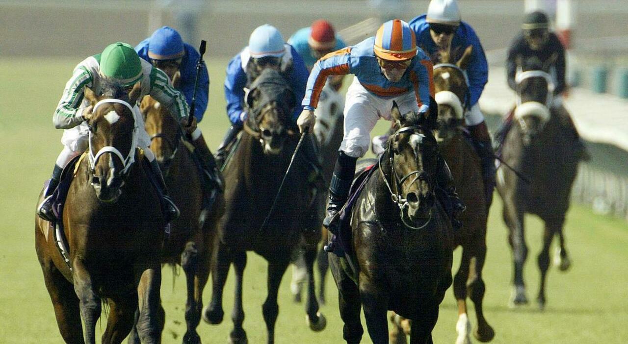 La storia di Hewick, il cavallo ubriacone che sabato parteciperà al ...