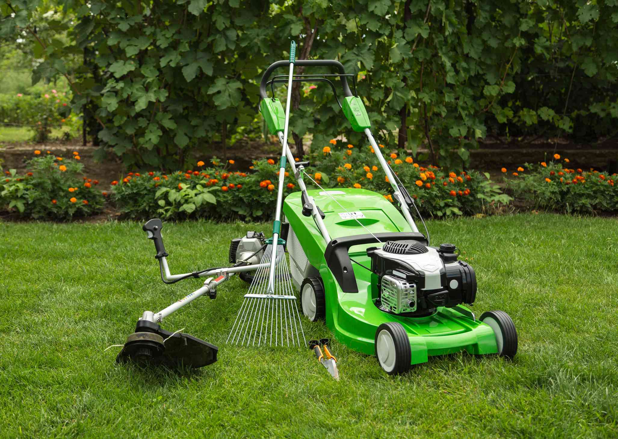 Your Rusty Lawn Mower Might Need Replacing—7 Signs to Watch for This Spring