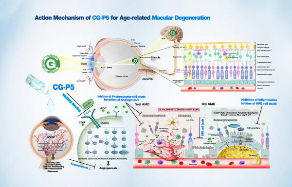 케어젠, APAO 2025서 습성 황반변성 치료제 공개