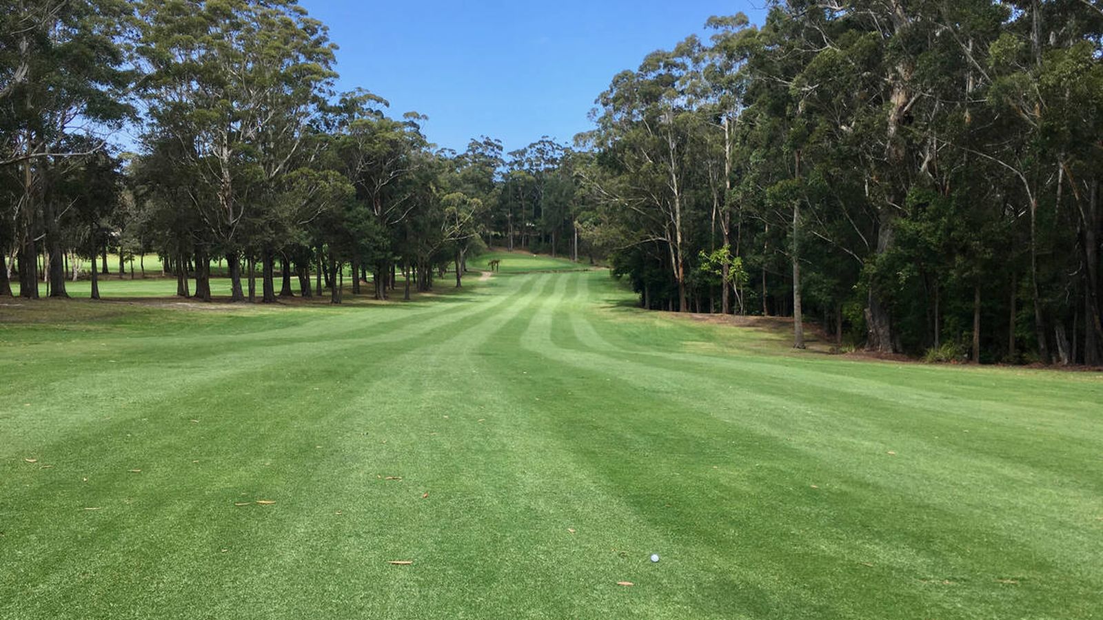 El campo de golf más peculiar del planeta mide 1.300 kilómetros y está ...