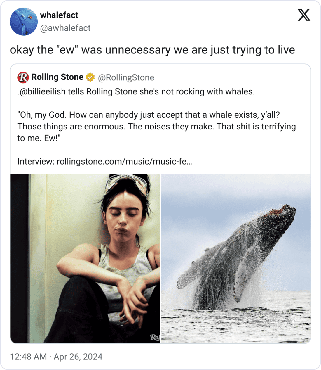50 Funniest Tweets By "Whale Fact" That Offer Satirical But Technically ...