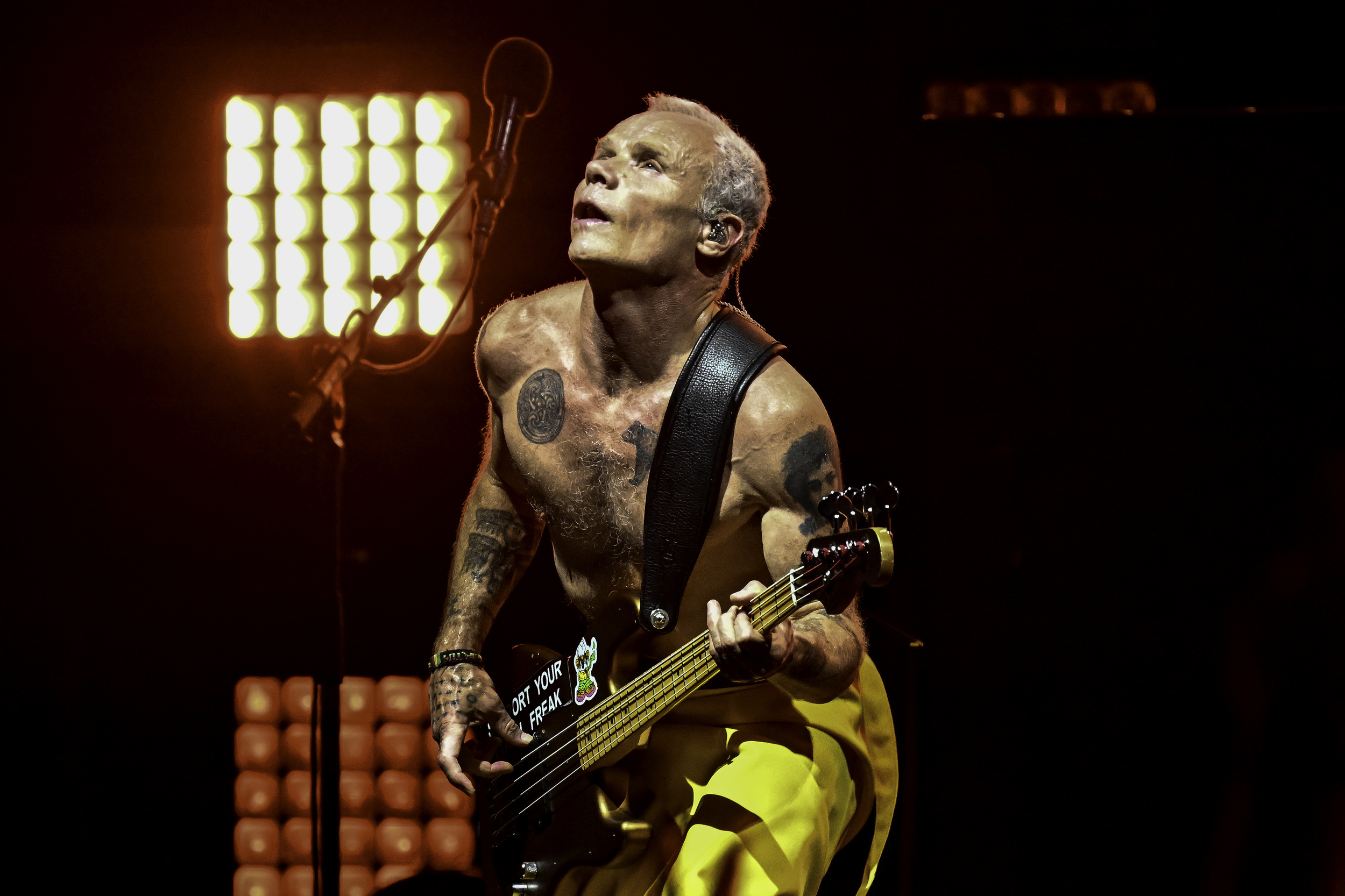 The 25 greatest bass players of all time, ranked