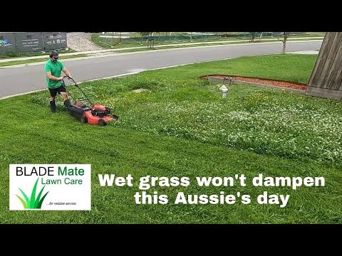 Hot Day, Fresh Cut—Aussie Lawn Mowing Satisfaction
