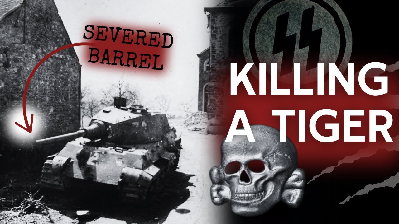 Dozens of Dead in One Tank’s Final Kill Zone - The Last Stand of King ...