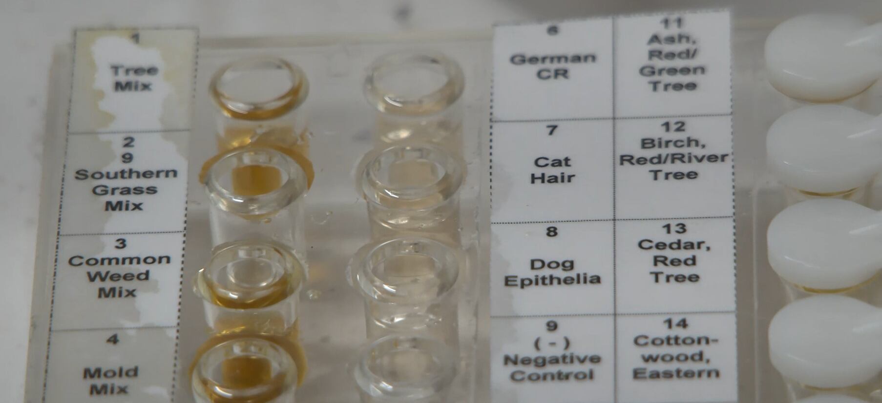 Allergic to pollen? Charleston medical expert explains how to survive ...