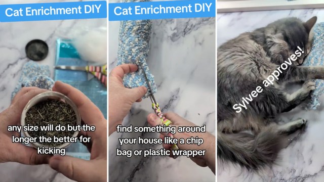 Pet owner shares money-saving tip using simple household materials: 'So ...