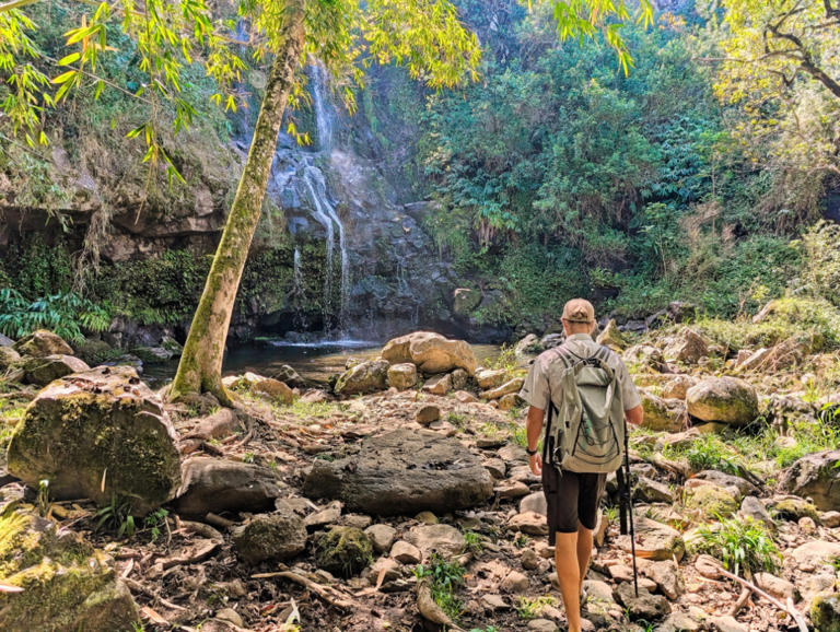 Guided Hiking on the Big Island: Beautiful Sights and Special Access