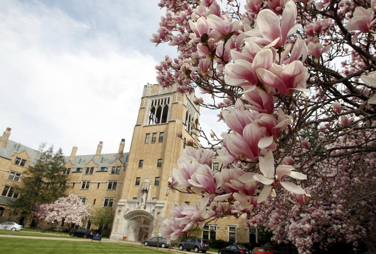 Be inspired at this event about Saint Mary's College trees. Or at any ...