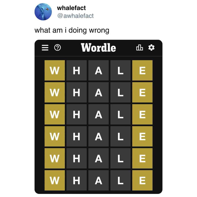 50 Funniest Tweets By "Whale Fact" That Offer Satirical But Technically ...