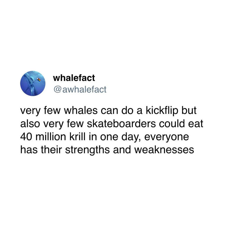 50 Funniest Tweets By "Whale Fact" That Offer Satirical But Technically ...