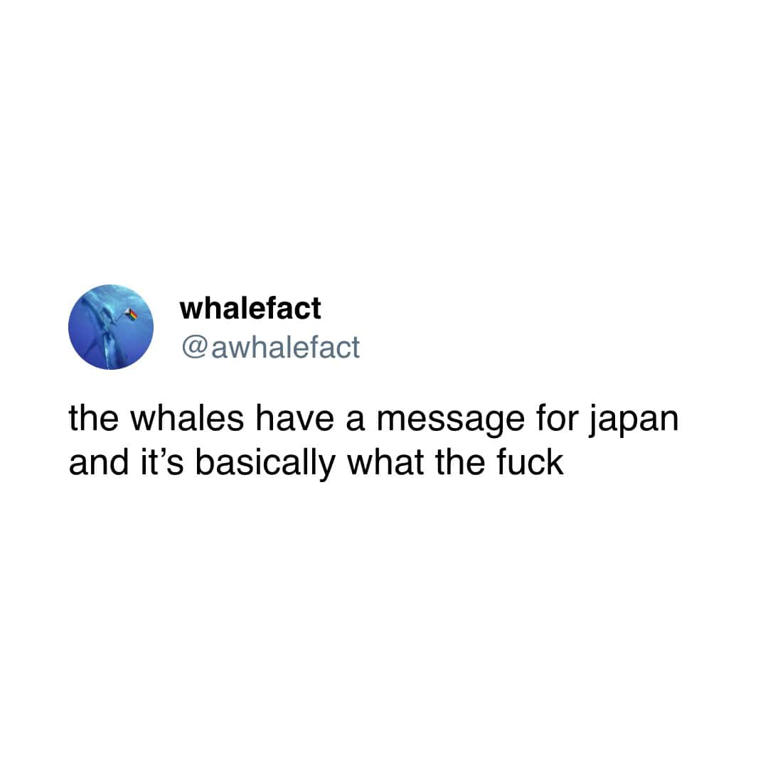 50 Funniest Tweets By "Whale Fact" That Offer Satirical But Technically ...