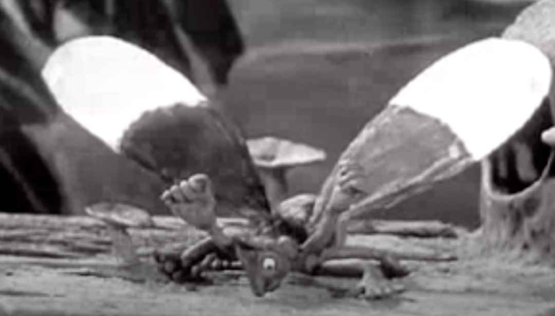 Exploring the early clay animations of Joseph Sunn