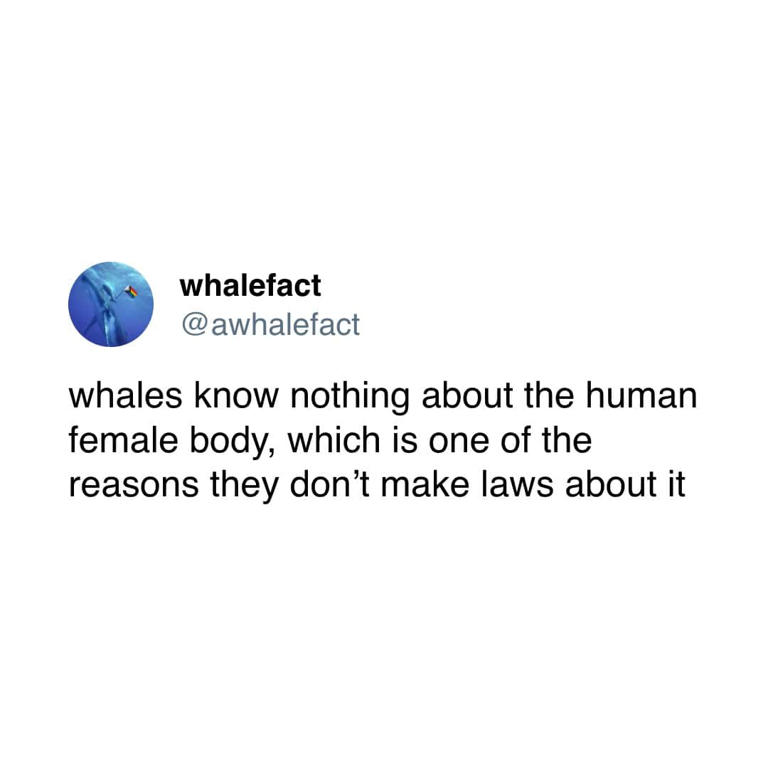 50 Funniest Tweets By "Whale Fact" That Offer Satirical But Technically ...
