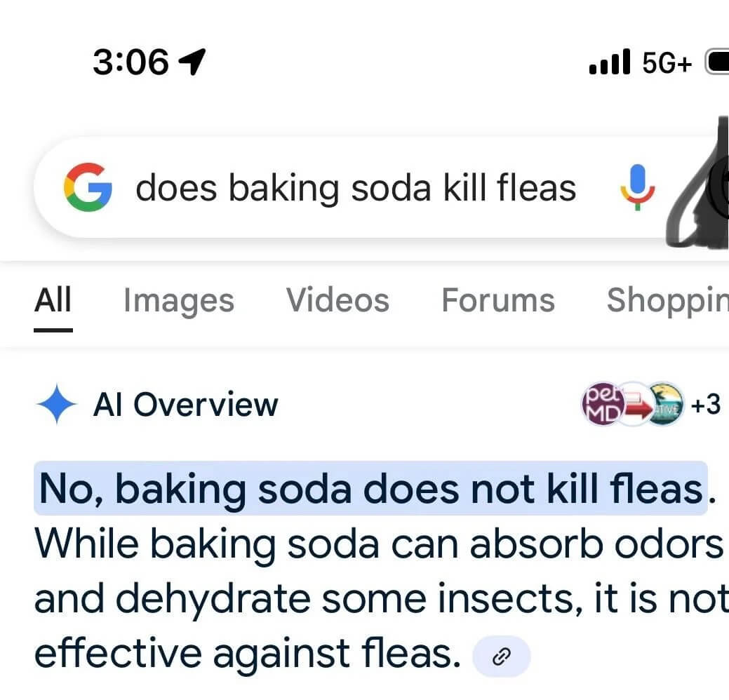 Google user baffled after AI gives wildly different answers to nearly ...