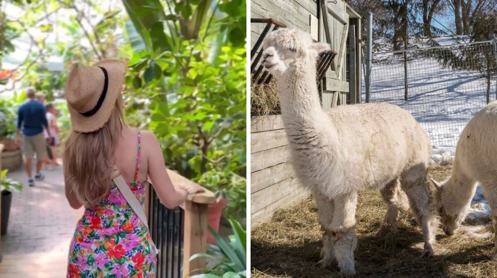 9 activités variées à Laval qui sont entièrement GRATUITES en avril