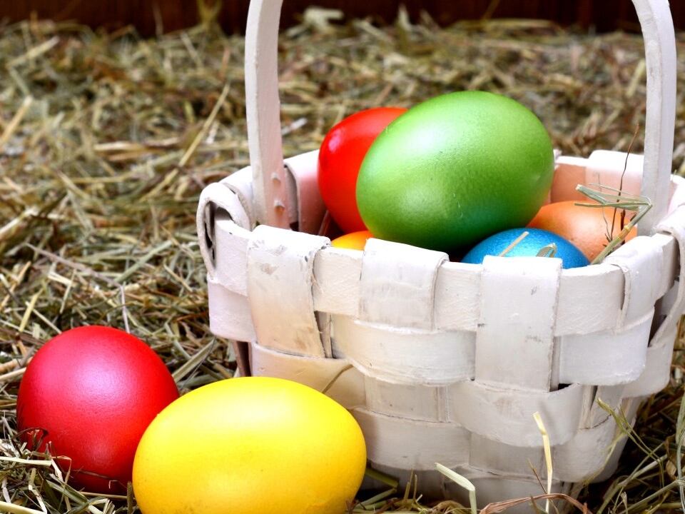 Easter events happening across the Cape Fear region this month