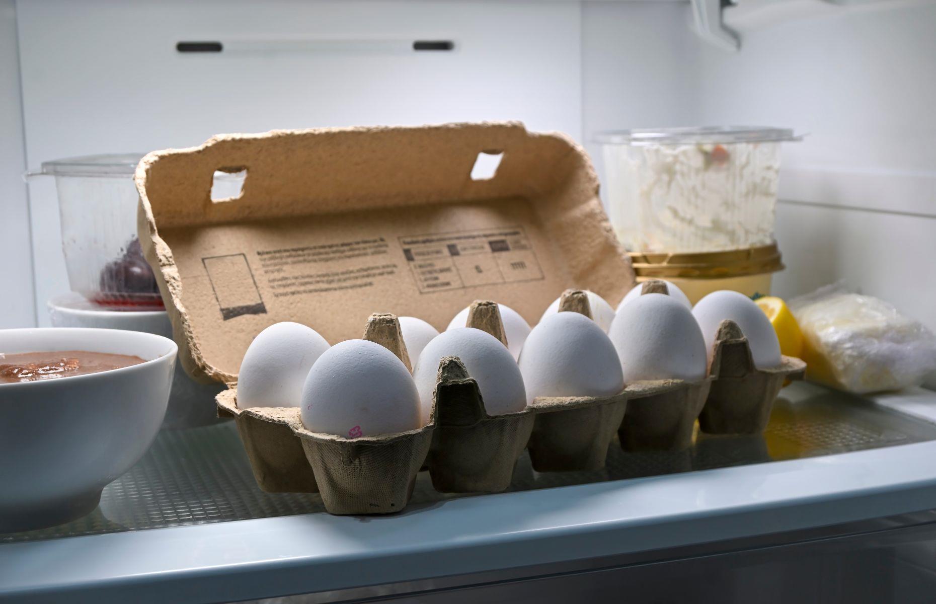 22 common household 'facts' that are FALSE