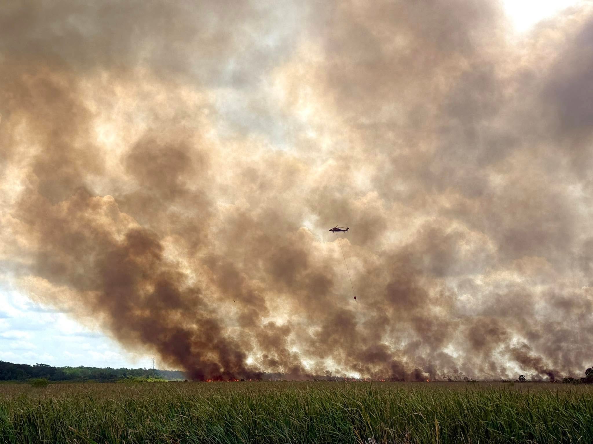 Officials: 800-acre wildfire at Lake Woodruff refuge near DeLand grows ...